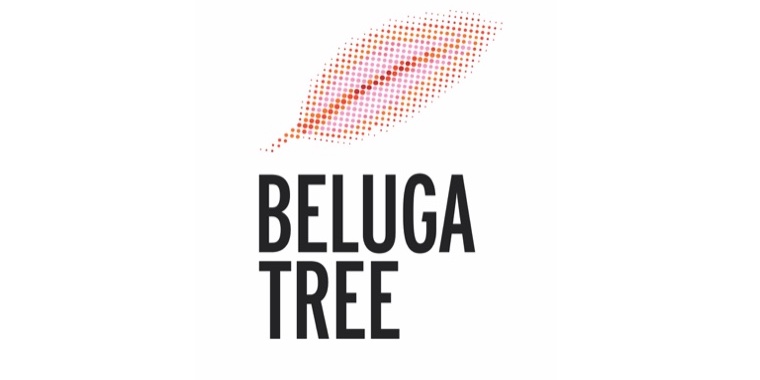 Beluga Tree cherche un/e comptable senior - We Love Cinema