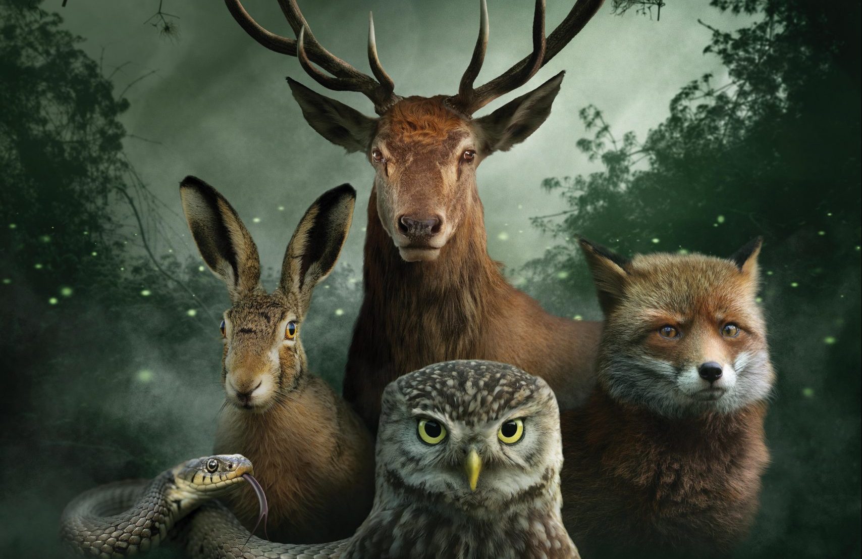 De wilde Belgische natuur sensationeel in beeld gebracht! - We Love Cinema