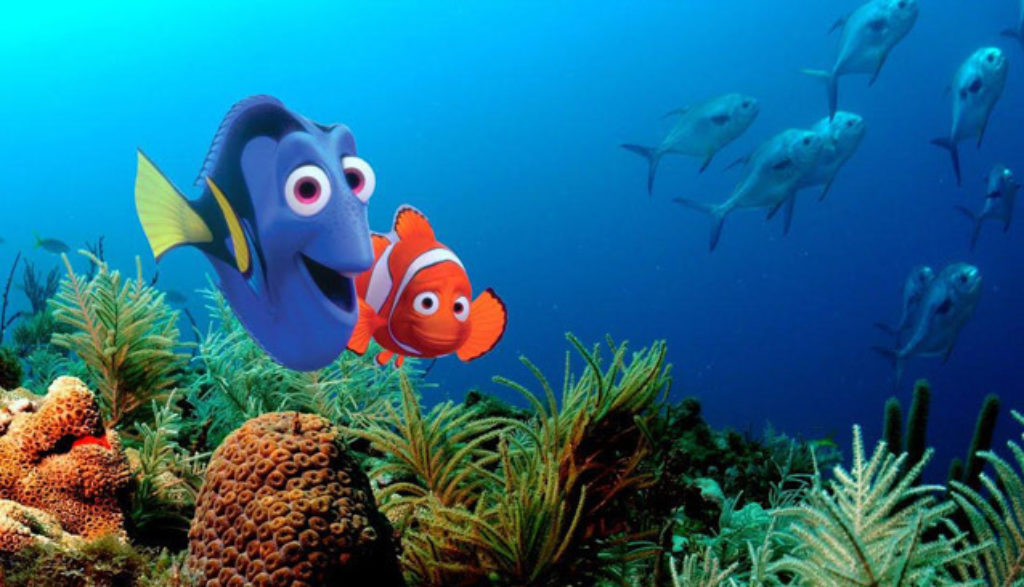 Un « Monde de Nemo 3 » ? L’idée n’est pas tombée à l’eau chez Disney ...